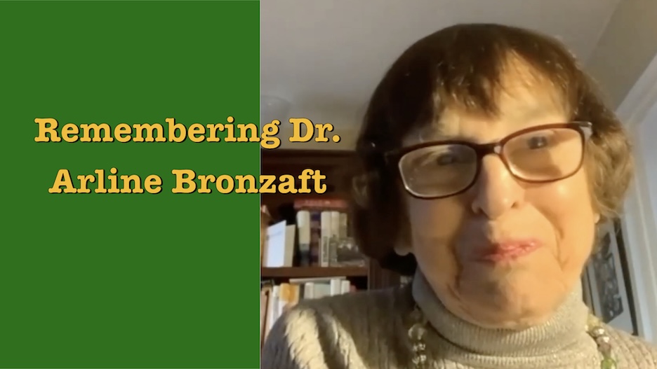 Remembering Dr. Arline Bronzaft - Soundproofist
